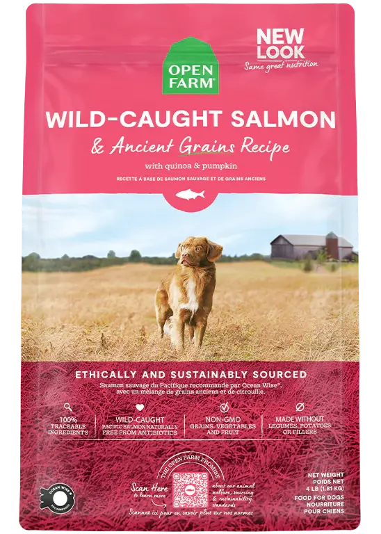 OPEN FARM Wild-Caught Salmon & Ancient Grains Dog Kibble – Paws on Chicon